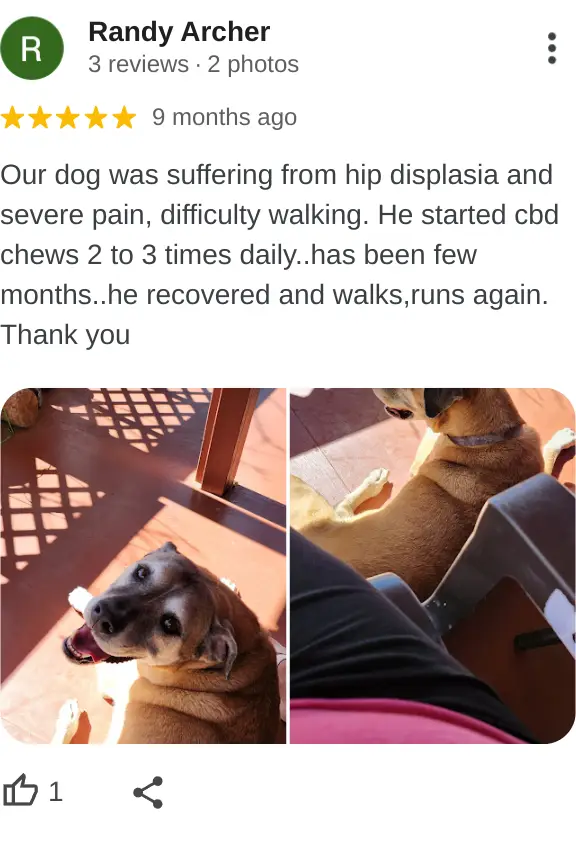 Rocky's Story | K9BG